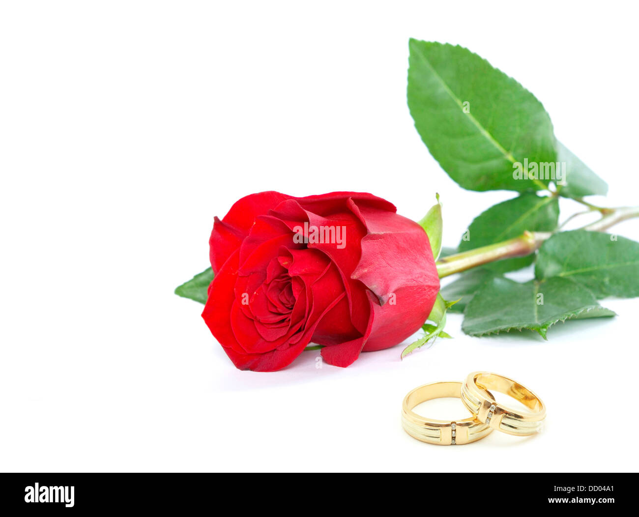 rose and ring Stock Photo - Alamy
