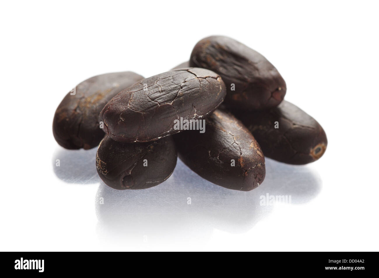 Cocoa Beans In Field