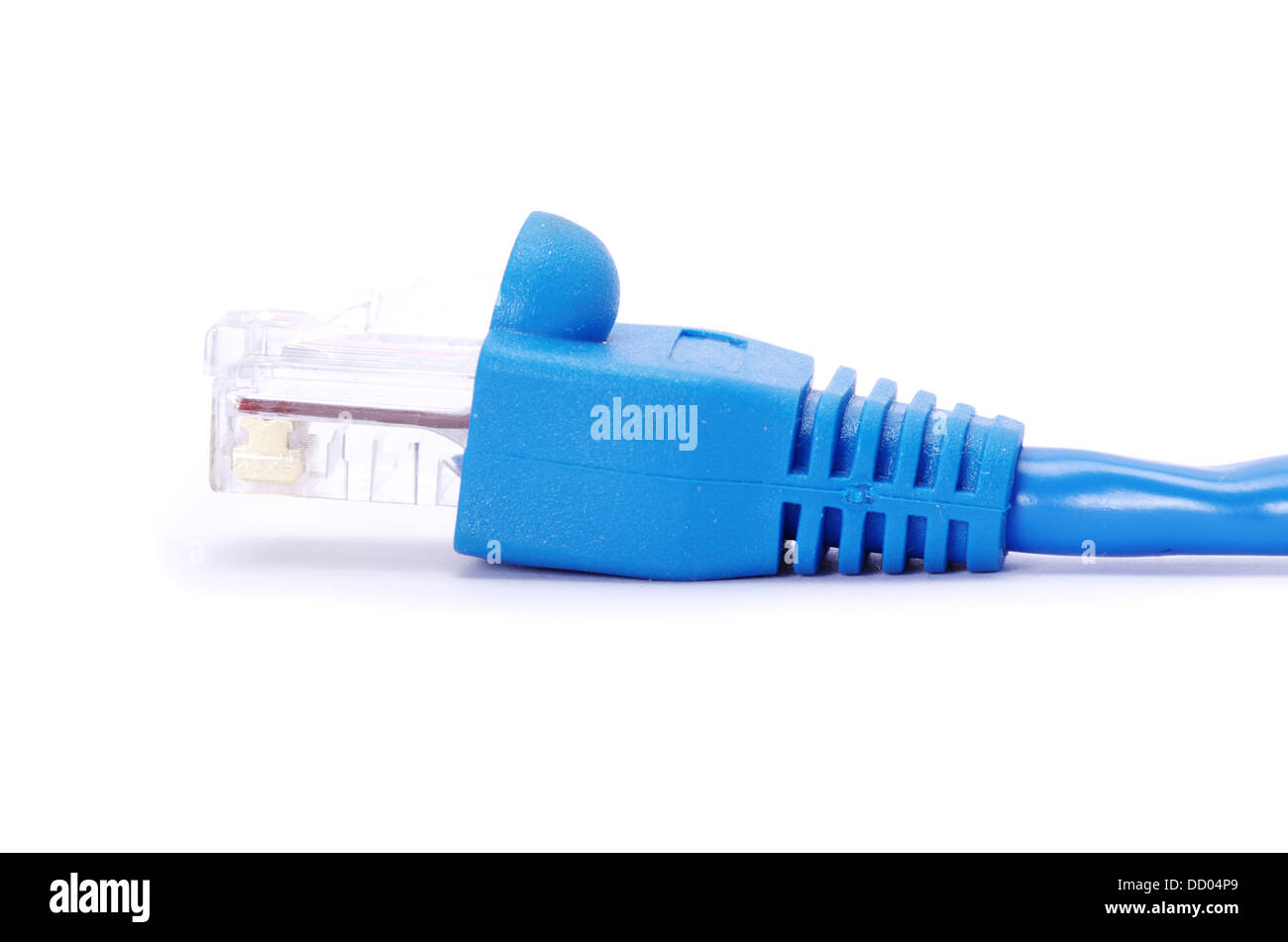 network connection plug Stock Photo - Alamy