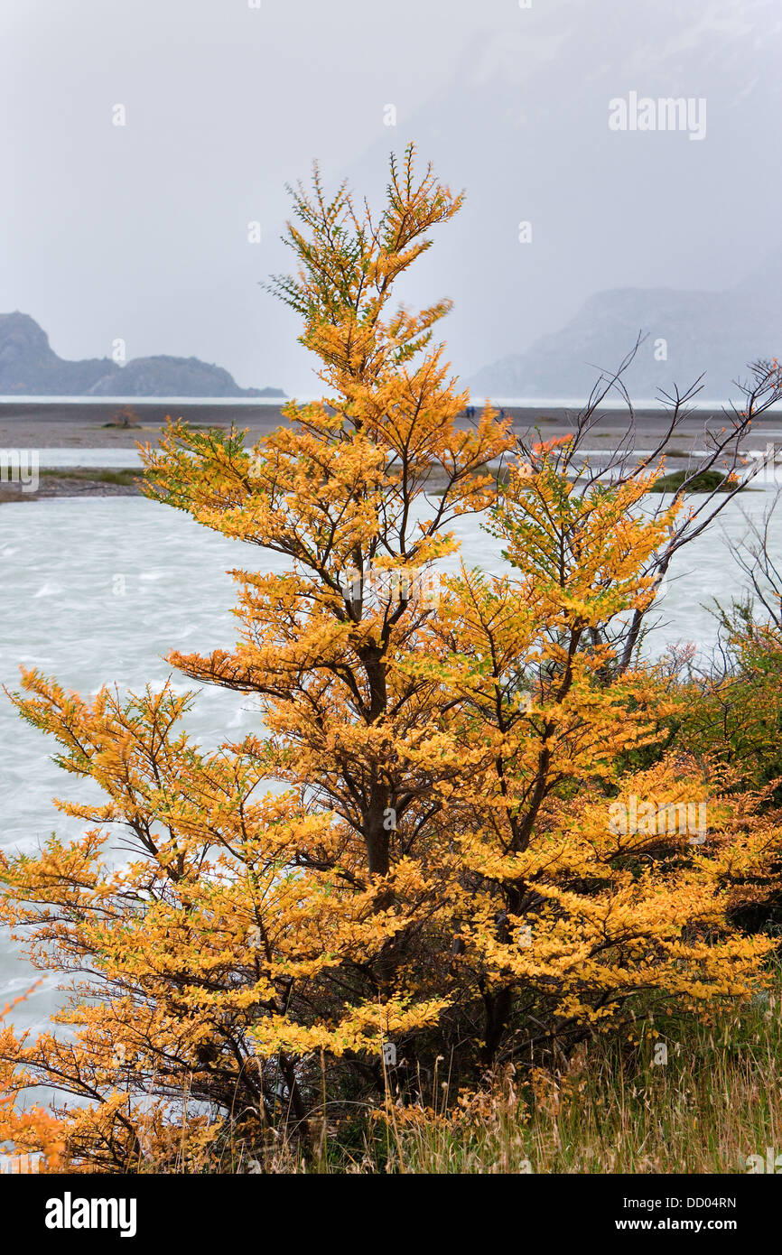 Lago lake grey gray hi-res stock photography and images - Alamy