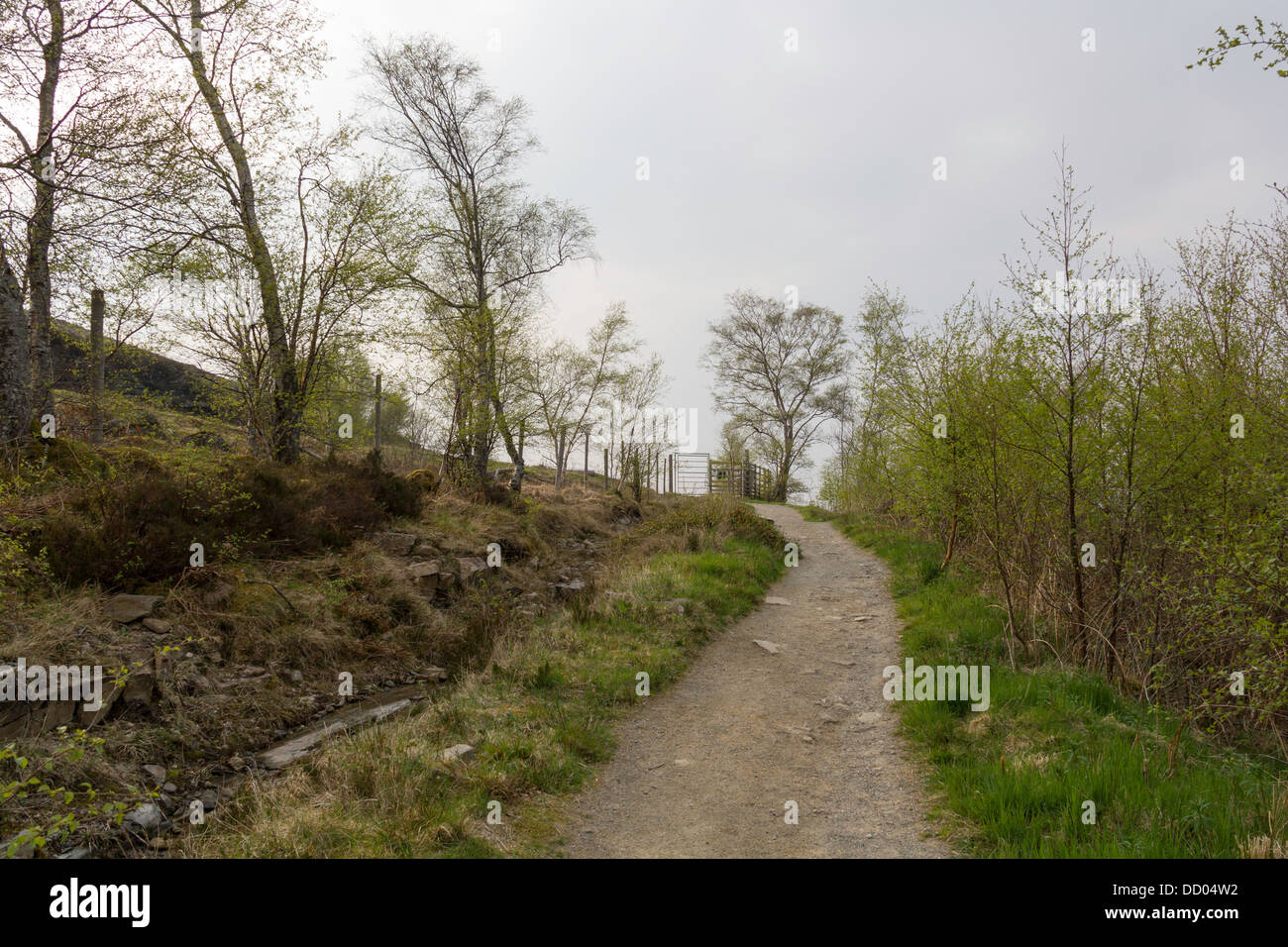 Rough path inside the Corrieshalloch Gorge in Scotland leading up to ...