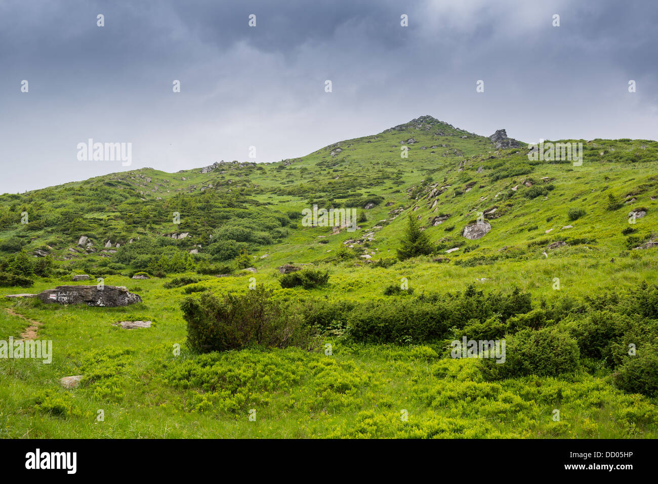 Summer panorama of Montenegrin mountain range Stock Photo - Alamy