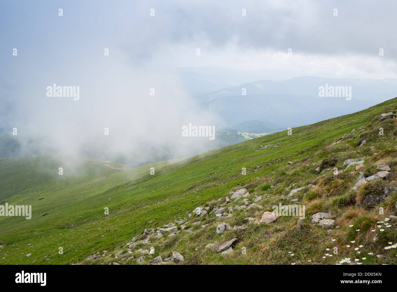 Summer panorama of Montenegrin mountain range Stock Photo - Alamy