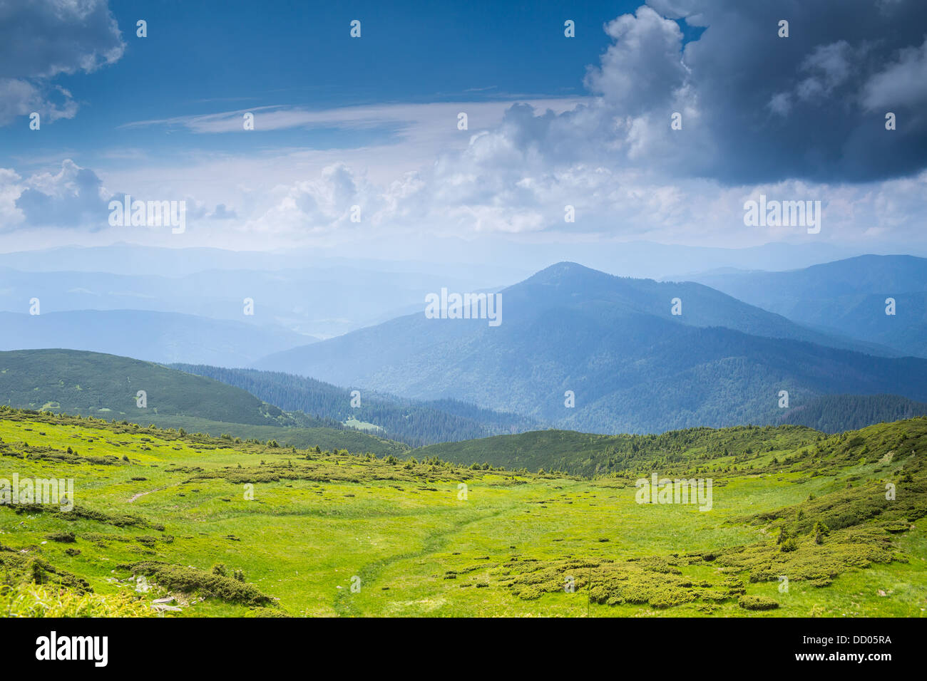 Summer panorama of Montenegrin mountain range Stock Photo - Alamy