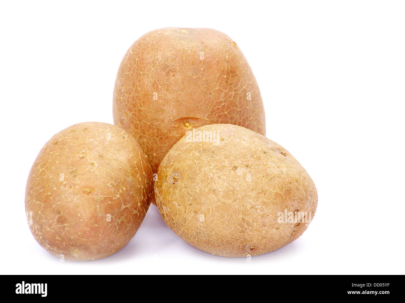 Harvest fuel Cut Out Stock Images & Pictures - Alamy