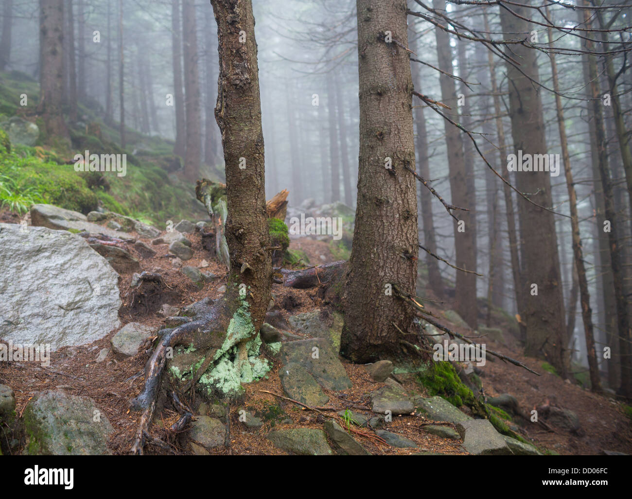 Ukrainian landscapes hi-res stock photography and images - Alamy