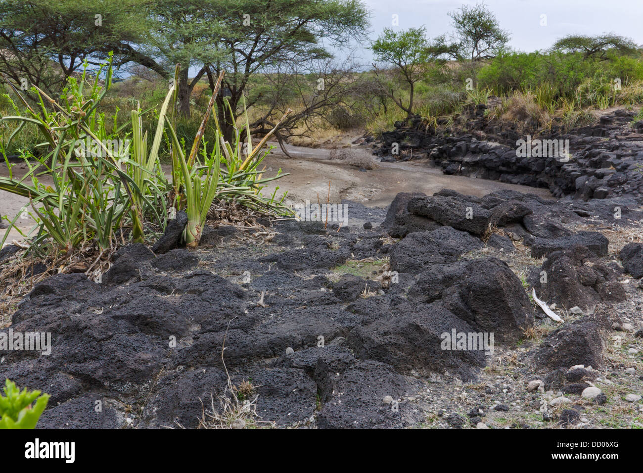 Central gorge hi-res stock photography and images - Alamy