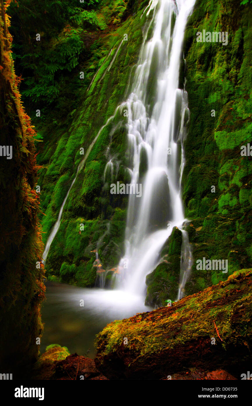 Madison Falls, Olympic National Park Stock Photo - Alamy