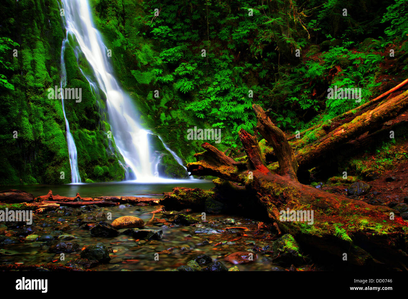 Madison Falls, Olympic National Park Stock Photo - Alamy