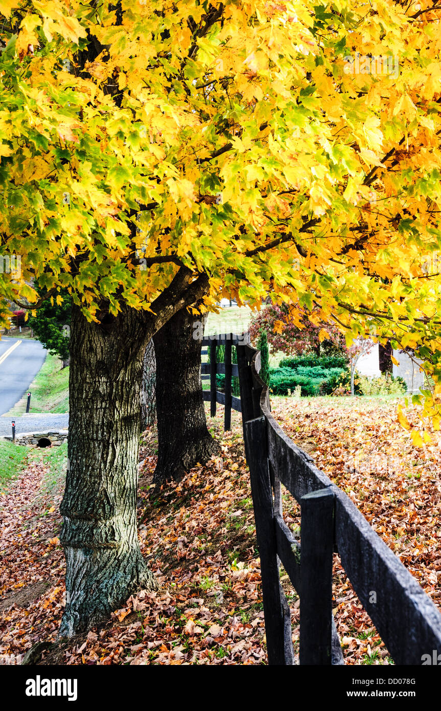 Fall colors, Fauquier County, Virginia Stock Photo - Alamy