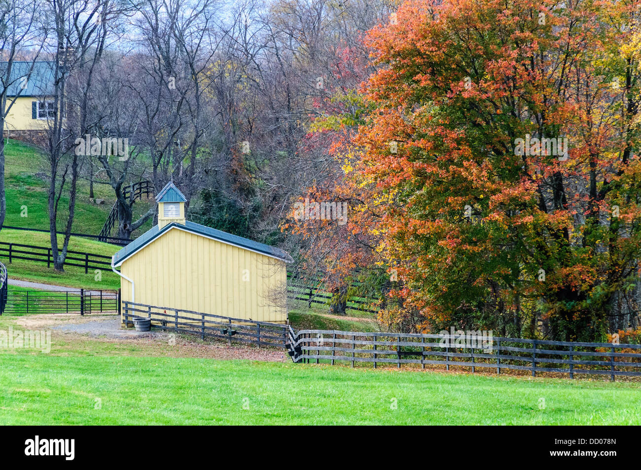 Yellow stables and Fall colors, Fauquier County, Virginia Stock Photo ...