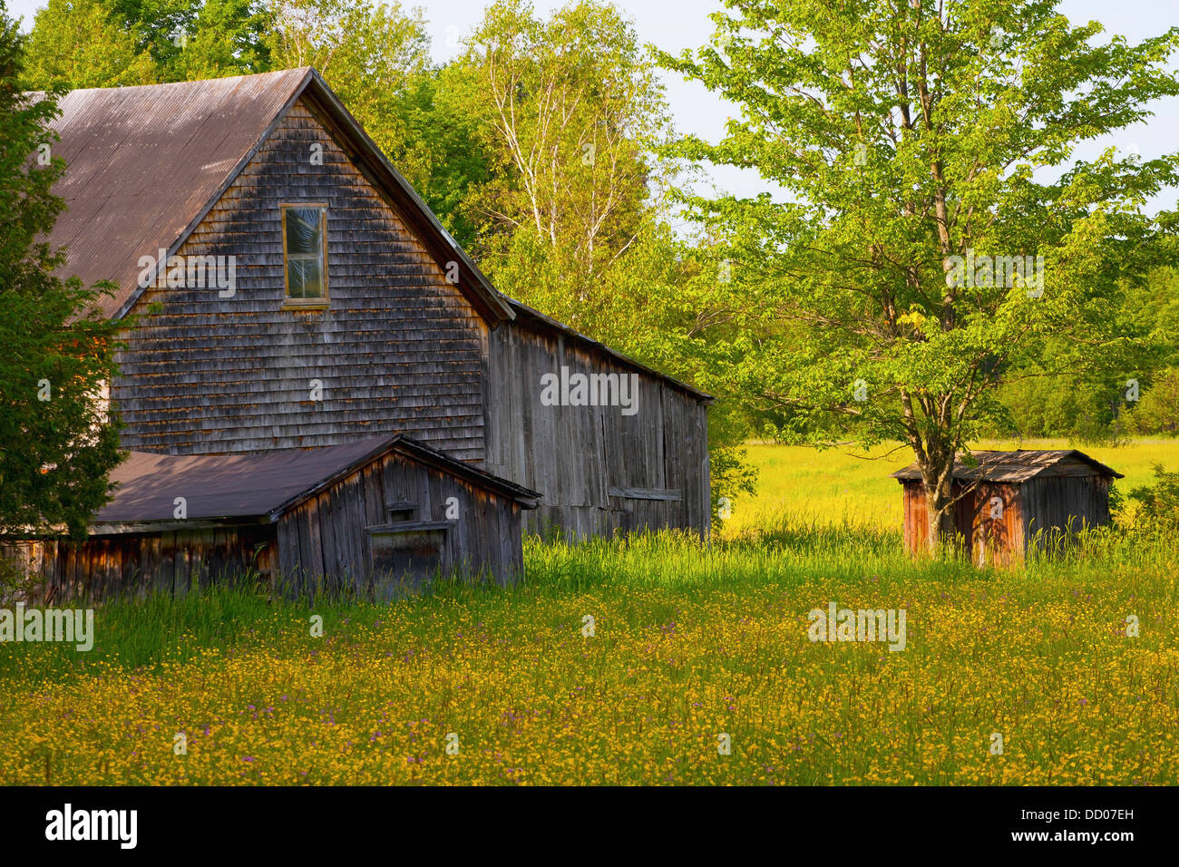 Barns quebec farms agriculture hi-res stock photography and images - Alamy