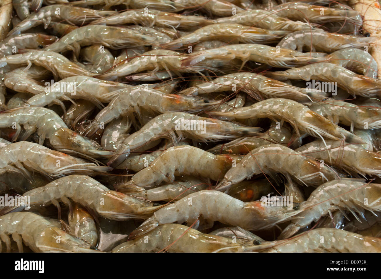 Small market brazil hi-res stock photography and images - Alamy