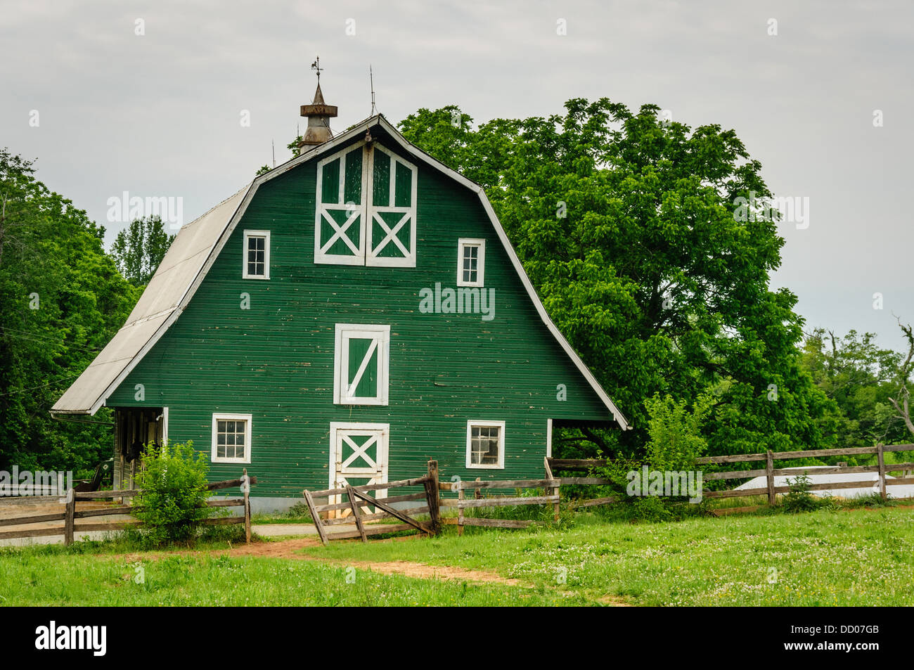 White horse in stable orange hi-res stock photography and images - Alamy