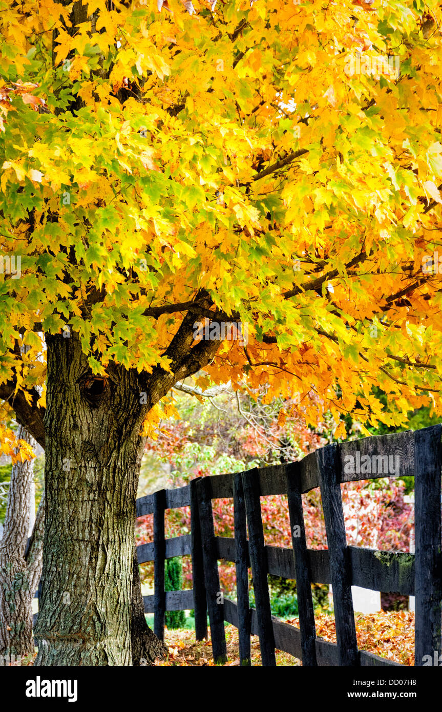 Fall colors, Fauquier County, Virginia Stock Photo - Alamy