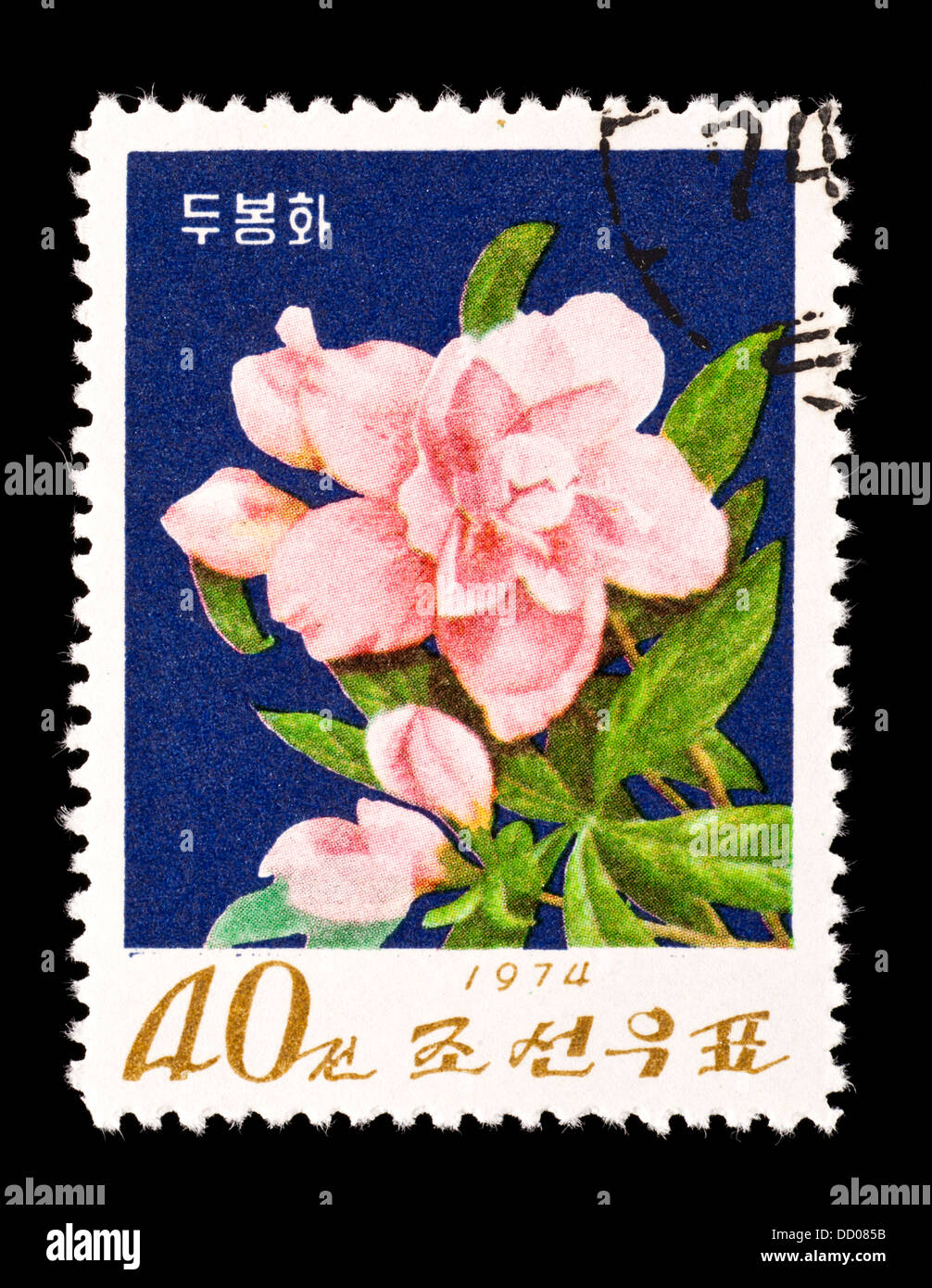 Postage stamp from North Korea depicting an azalea Stock Photo - Alamy