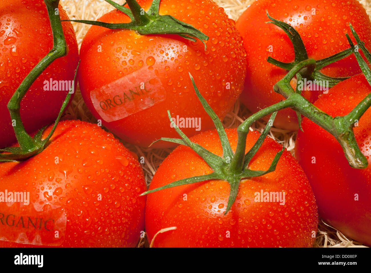 Tomatoes Labeled Organic; Waterloo, Quebec, Canada Stock Photo - Alamy