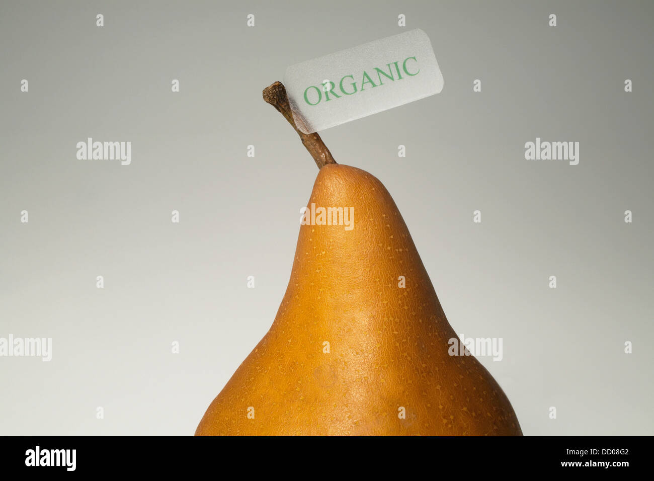 A Bosch Pear With An Organic Label On The Stem; Waterloo, Quebec ...