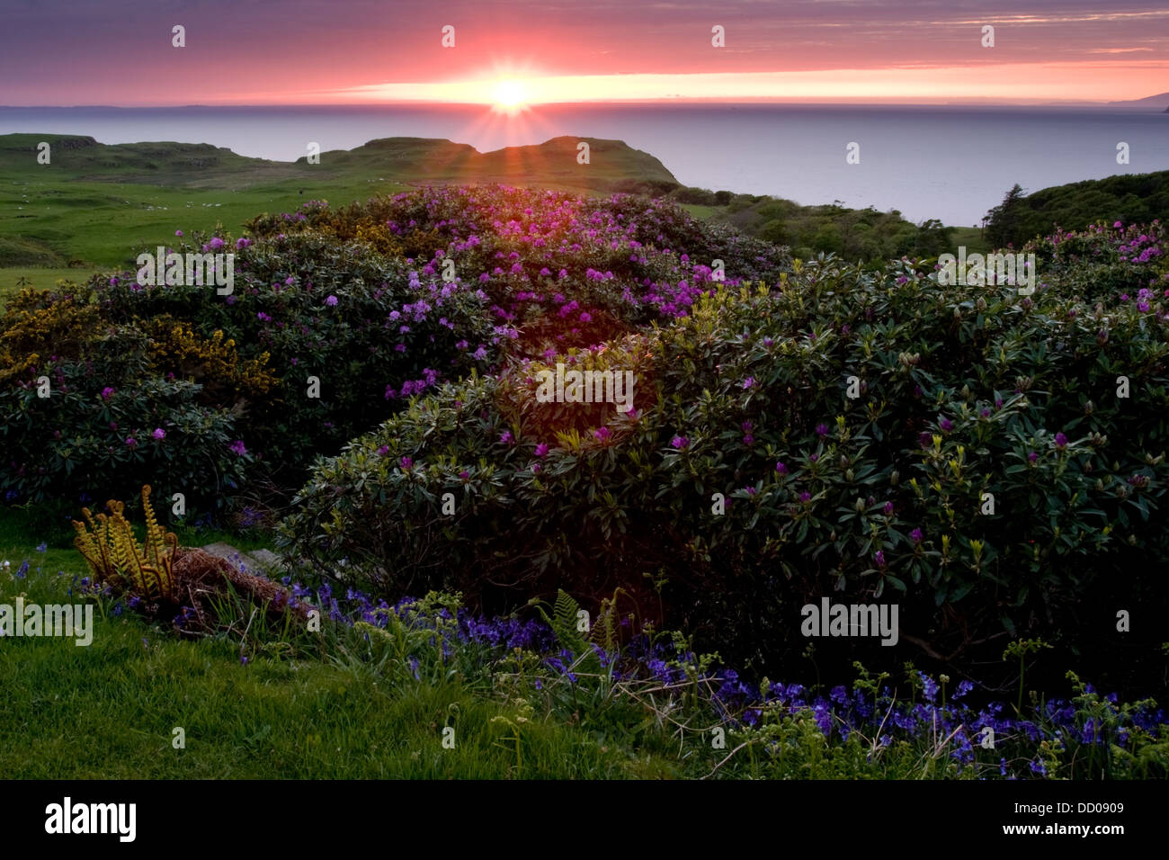 Ardmore castle hi-res stock photography and images - Alamy