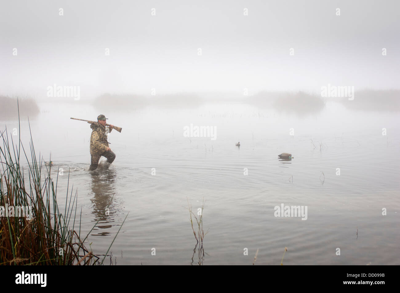 A Hunter In The Water Wearing Camouflage And Holding A Rifle; Colusa ...