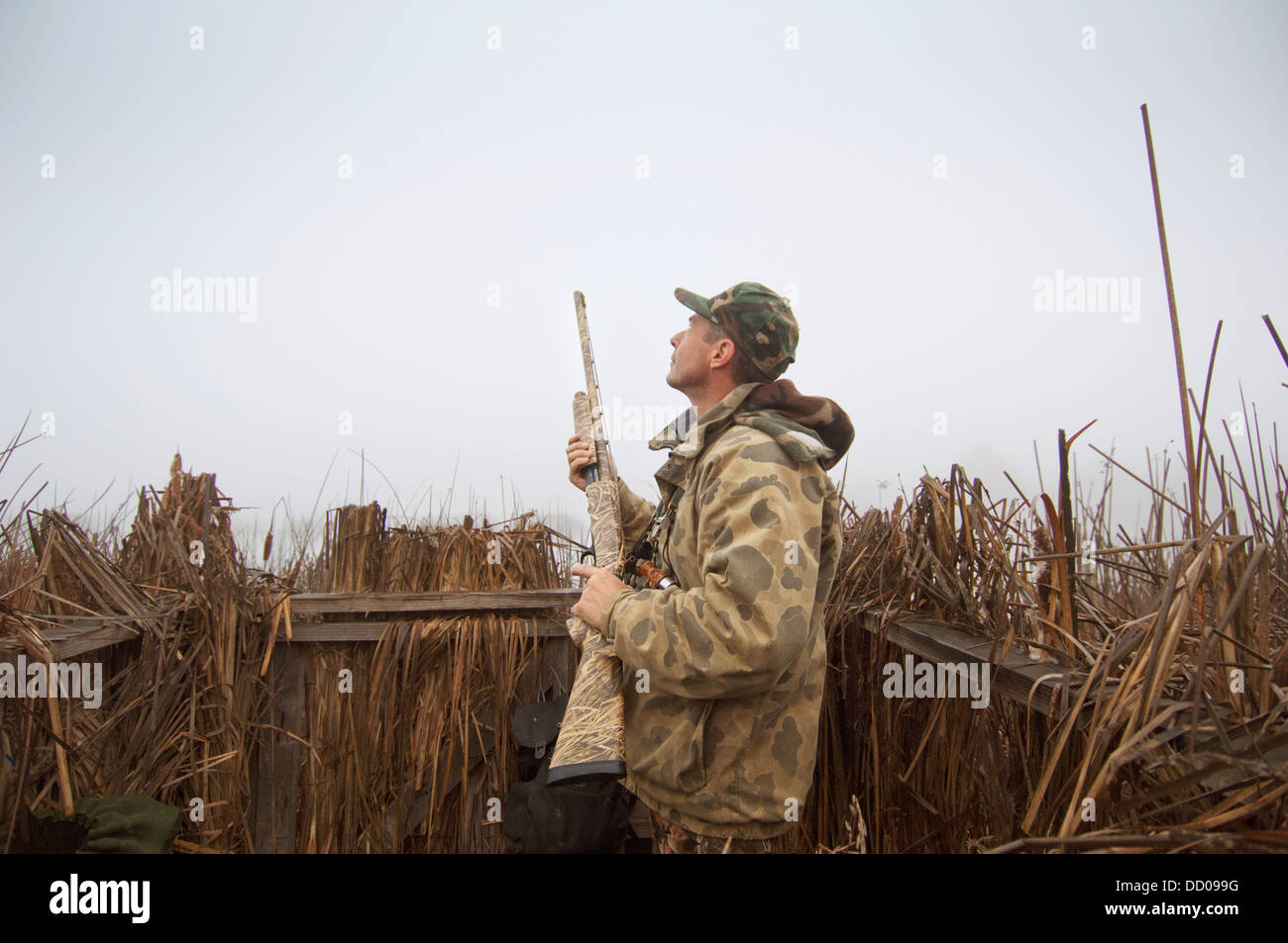 Half low blind hi-res stock photography and images - Alamy