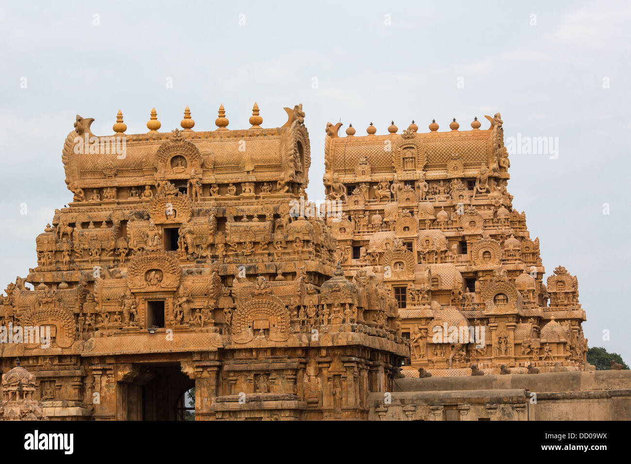 India. State of Tamil Nadu Stock Photo - Alamy