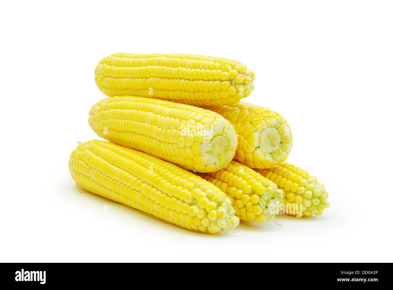 Maize farm Cut Out Stock Images & Pictures - Alamy