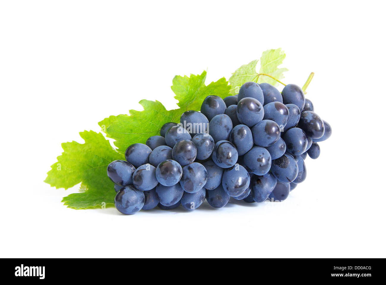 Raise cut Cut Out Stock Images & Pictures - Alamy