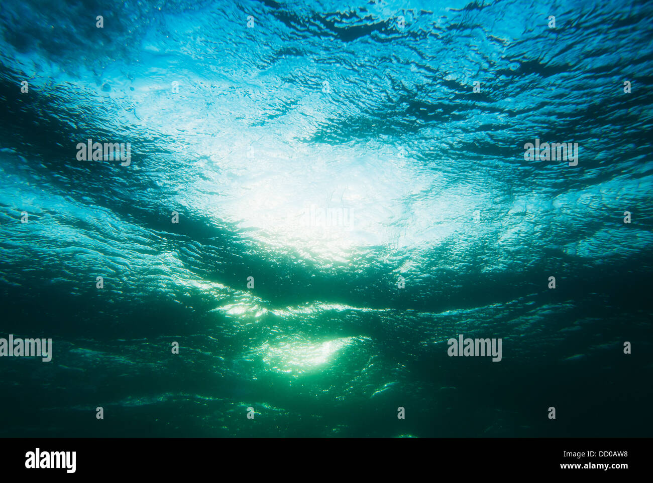 Underwater view ocean light shining hi-res stock photography and images ...