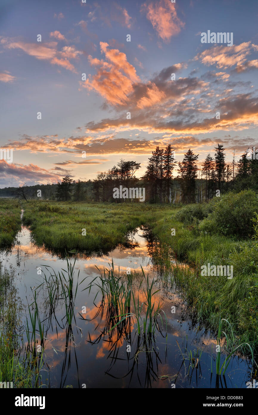 Sudbury ontario hi-res stock photography and images - Alamy