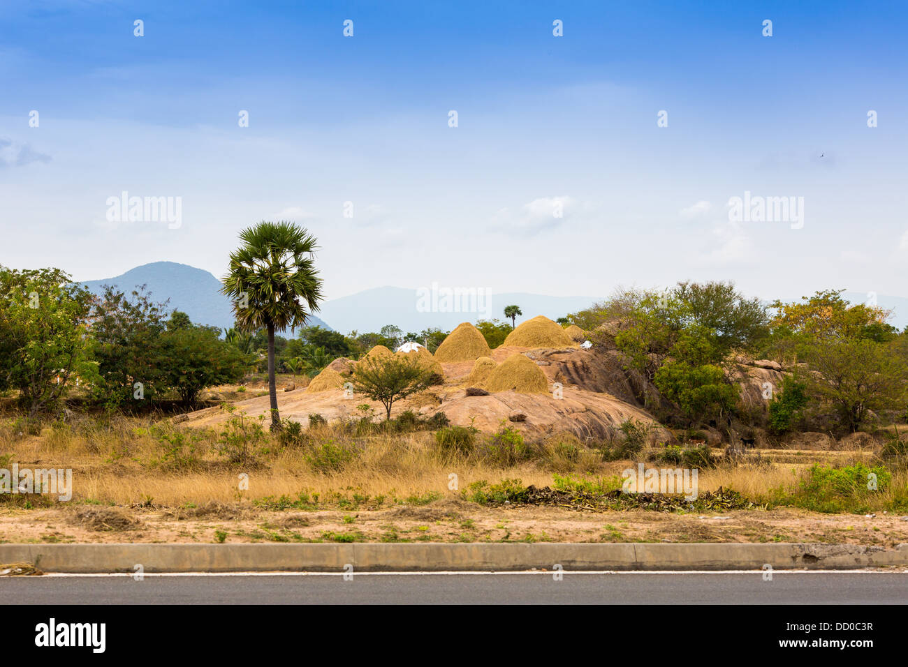 Kerala Agricultural neighborhood. South India Stock Photo - Alamy