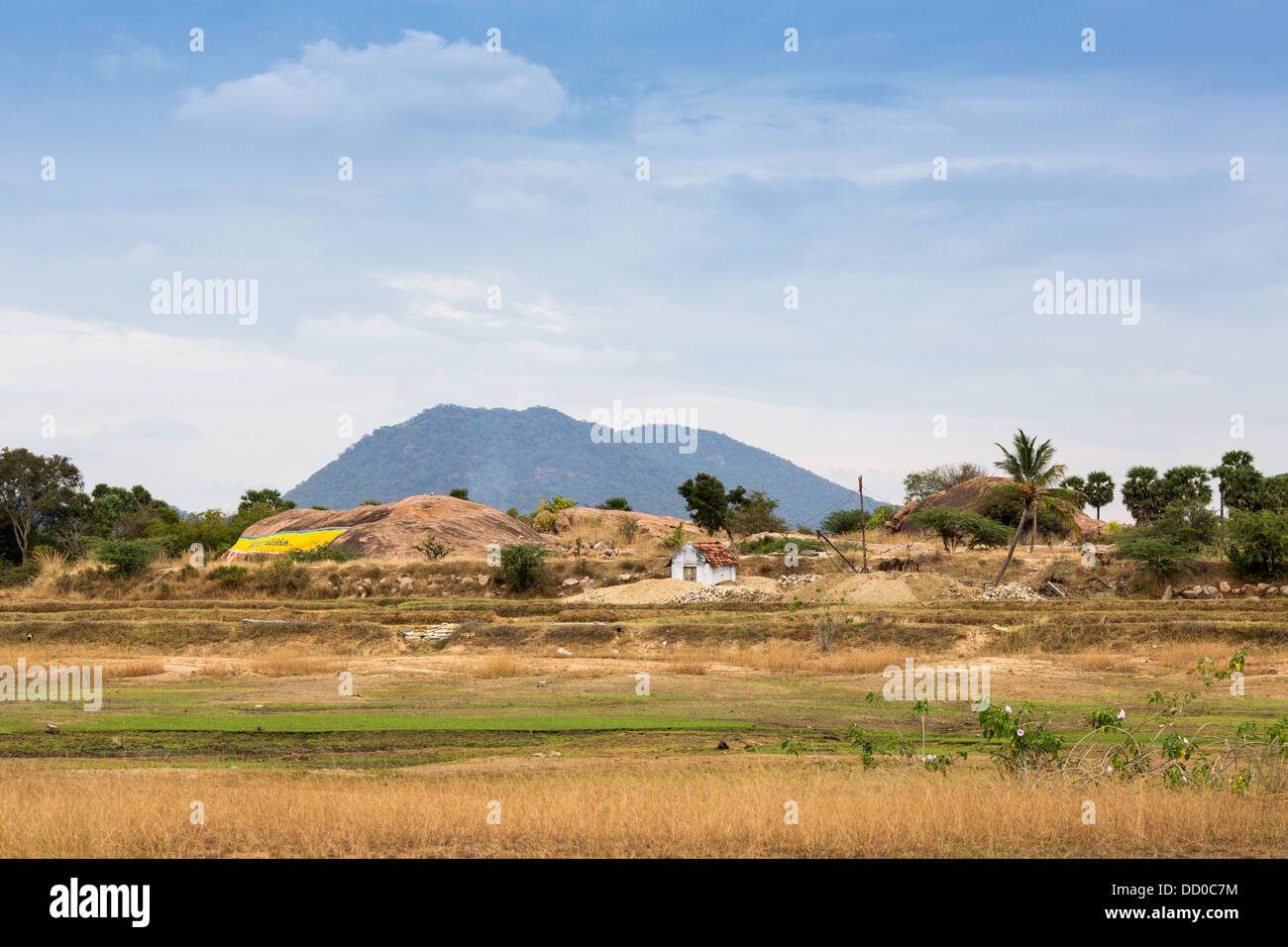 Kerala Agricultural neighborhood. South India Stock Photo - Alamy