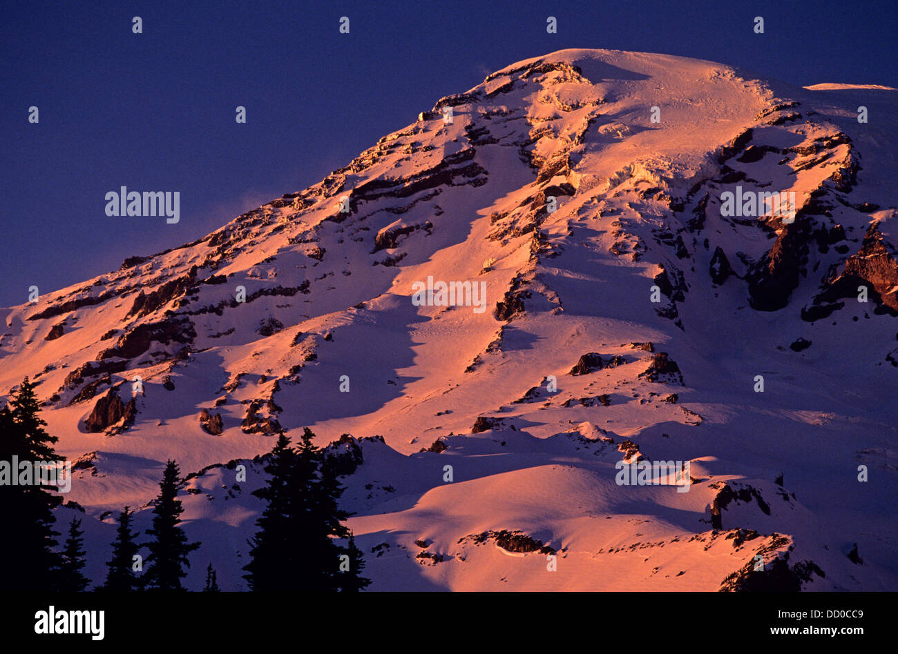 Mount Rainier covered in snow at sunset Mount Rainier National Park ...