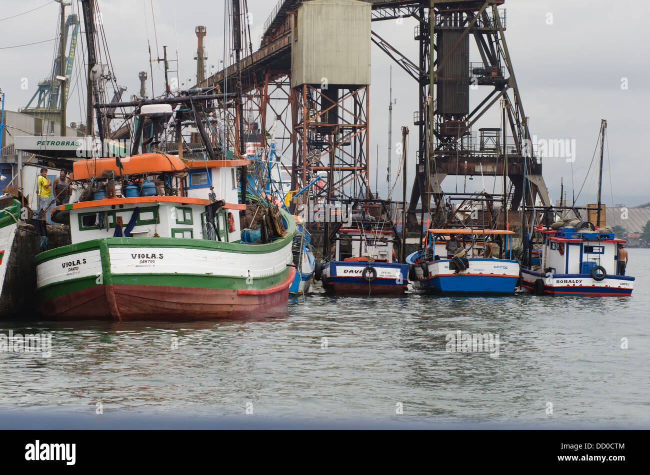 Long line fishing boats moored at the fishing terminal, at Ponta da ...
