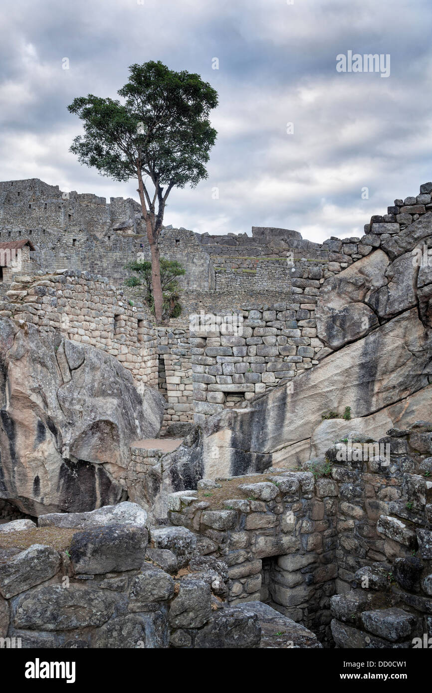 Inca condor hi-res stock photography and images - Alamy