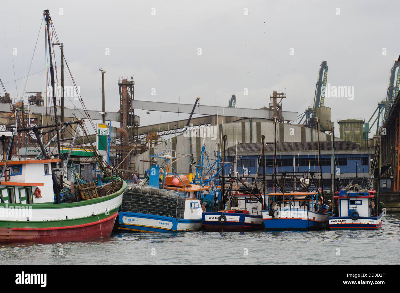 Long line fishing boats moored at the fishing terminal, at Ponta da ...