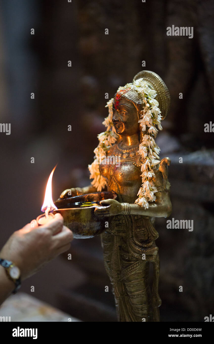 Oil lamps in a tibetan buddhist temple Stock Photo - Alamy
