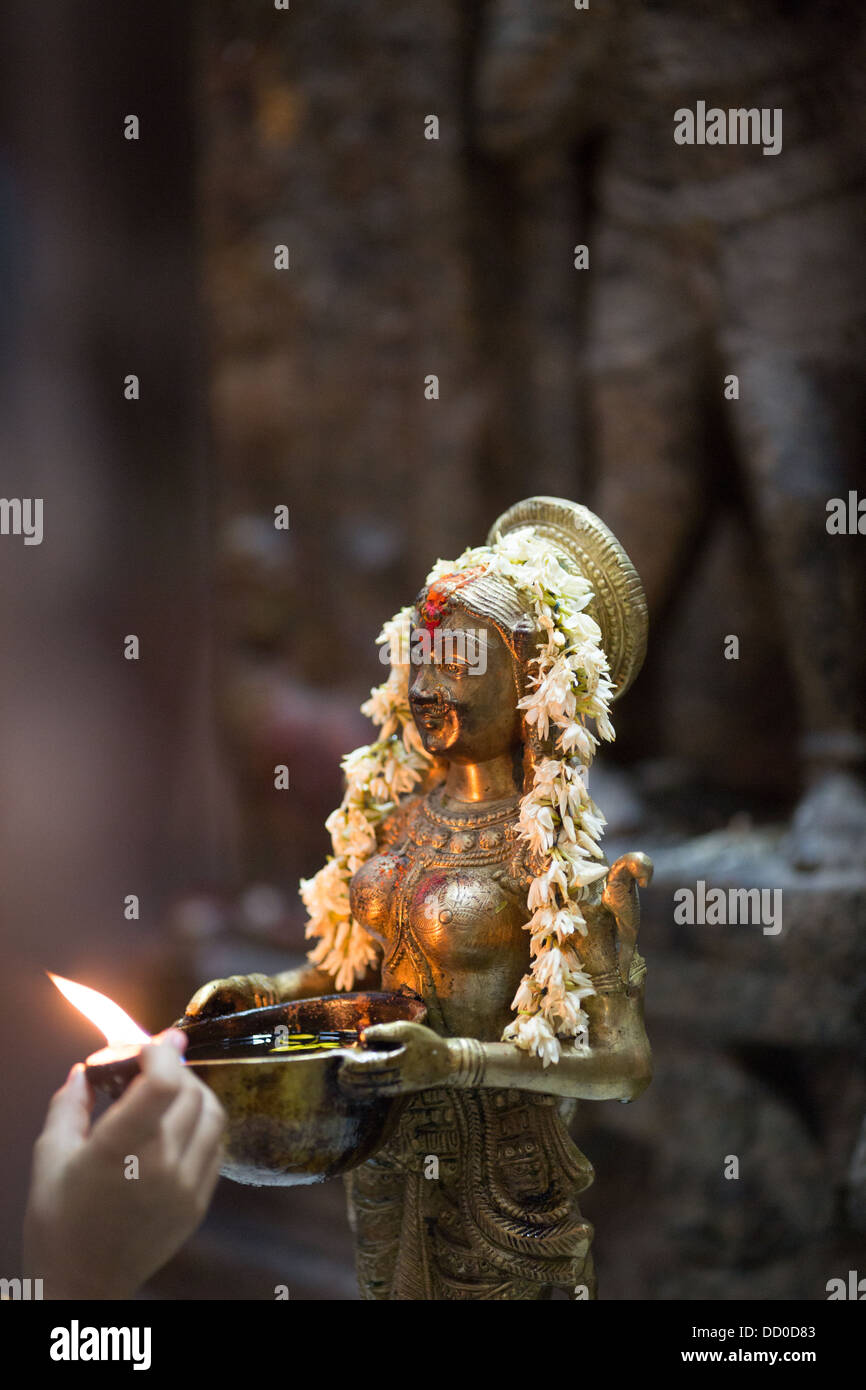 Oil lamps in a tibetan buddhist temple Stock Photo - Alamy