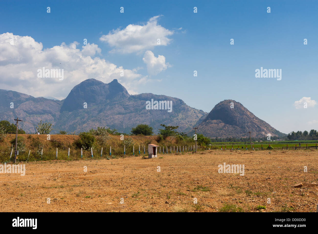 Kerala Agricultural neighborhood. South India Stock Photo - Alamy
