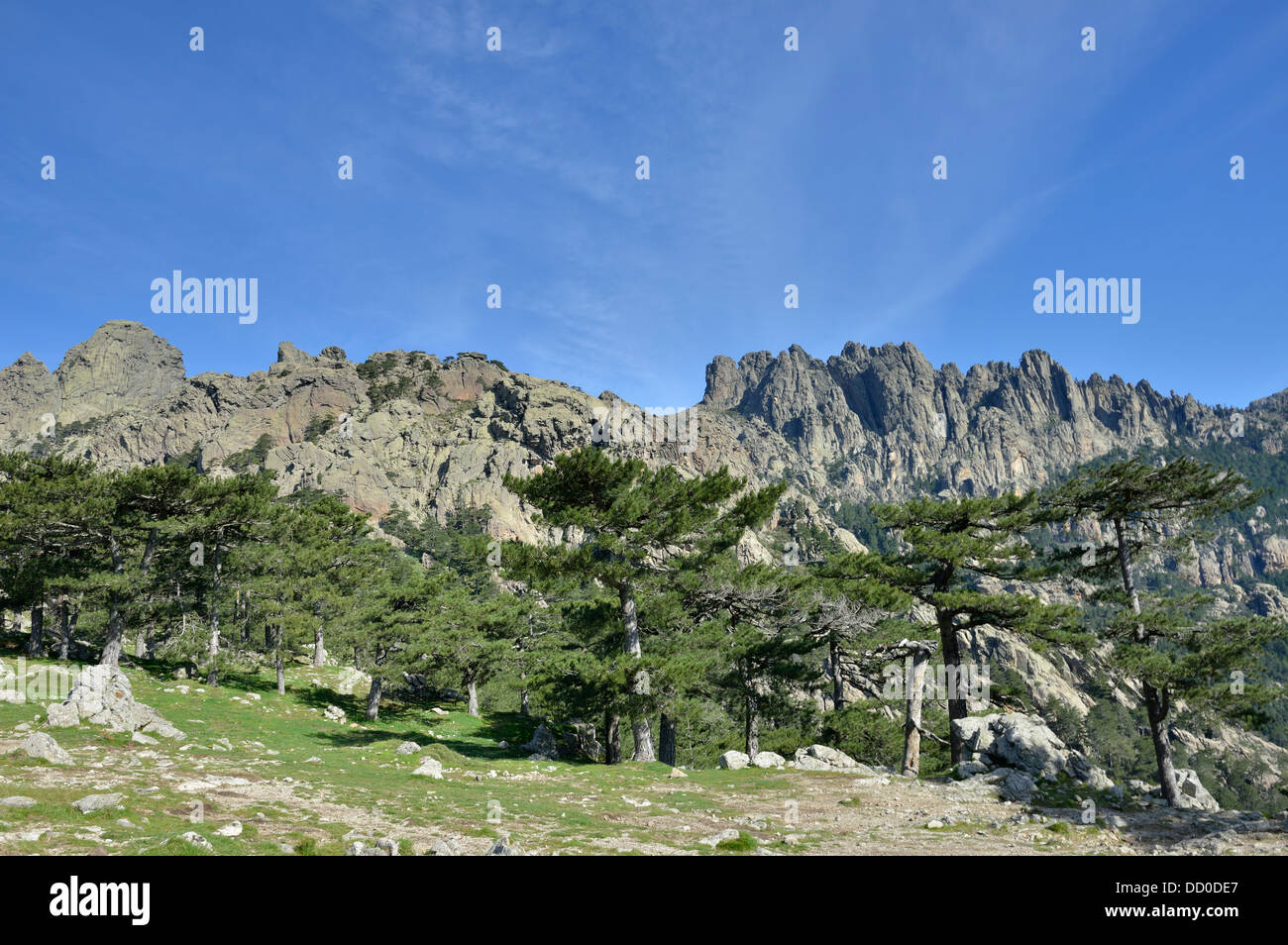Mountain landscape at Bavella Pass, Alta Rocca Region, Corsica, France ...