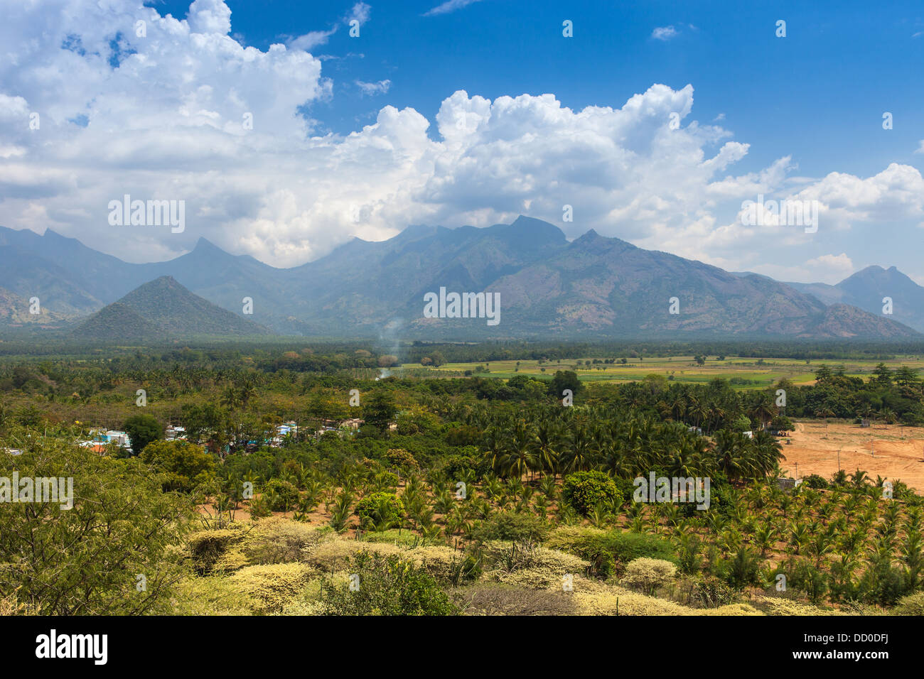 Kerala Agricultural neighborhood. South India Stock Photo - Alamy