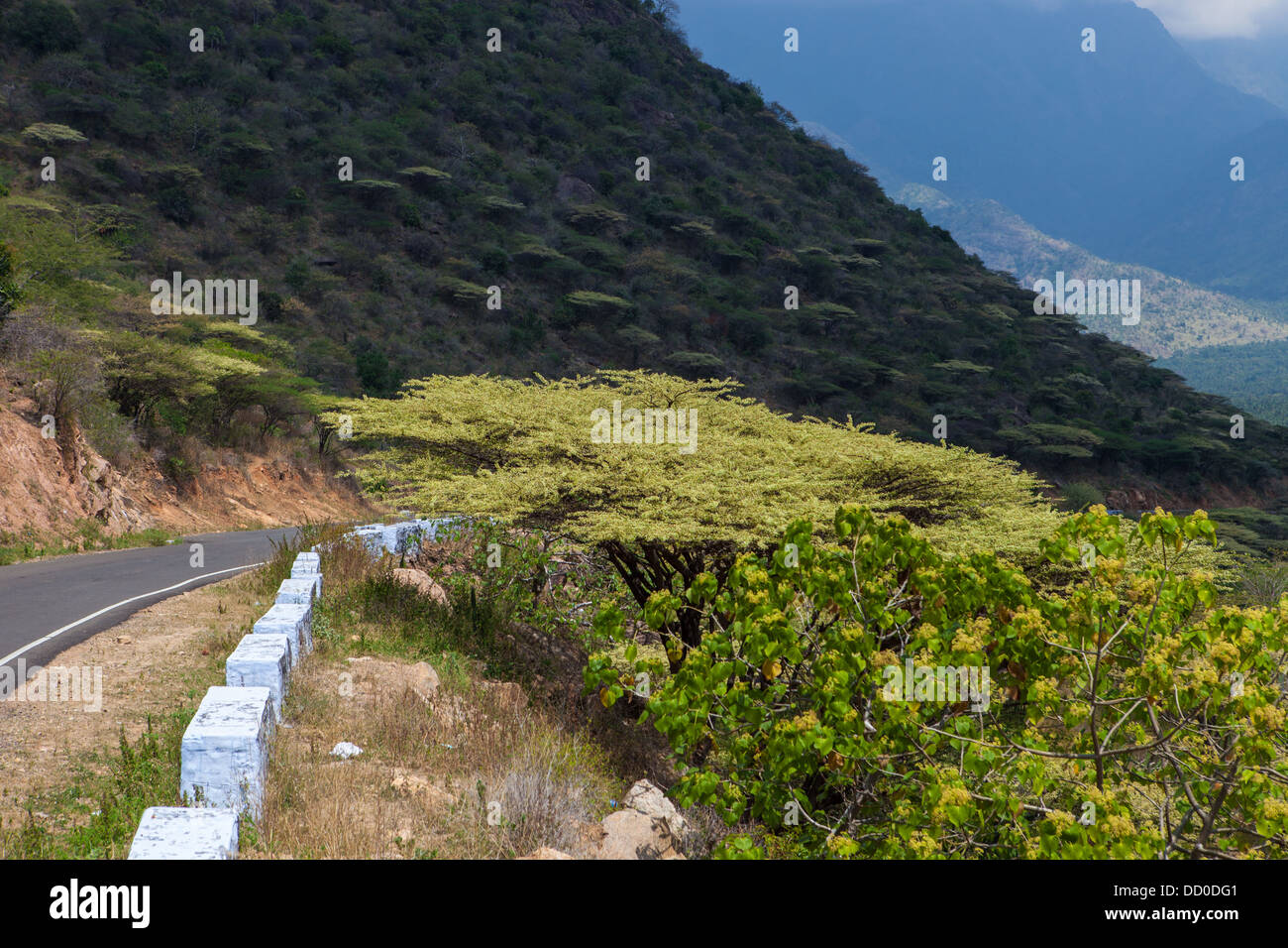 Kerala Agricultural neighborhood. South India Stock Photo - Alamy