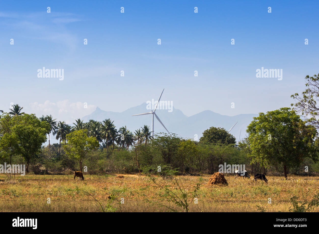 Wind turbines near Munar, Kerala, India Stock Photo - Alamy