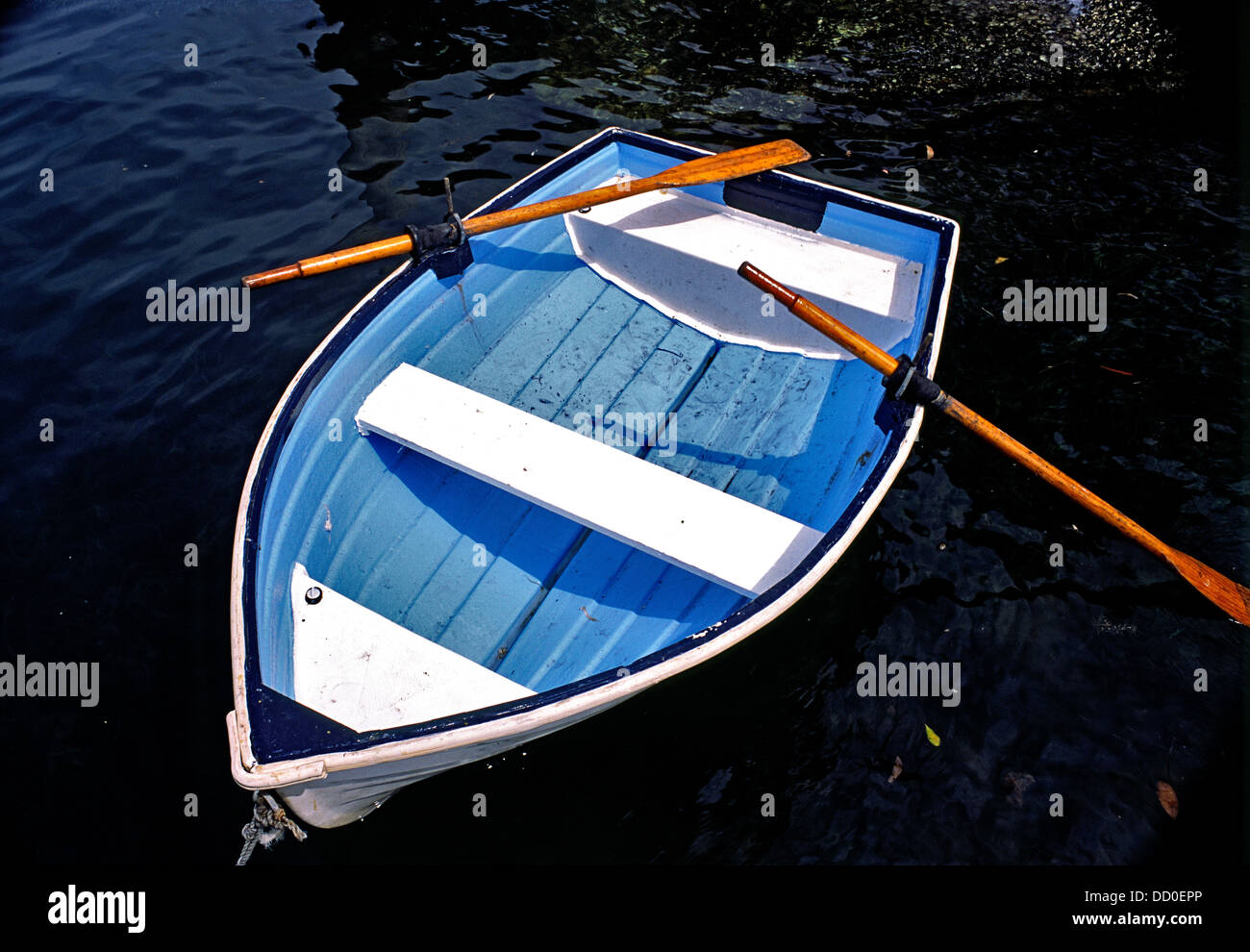 Rowing oars hi-res stock photography and images - Alamy