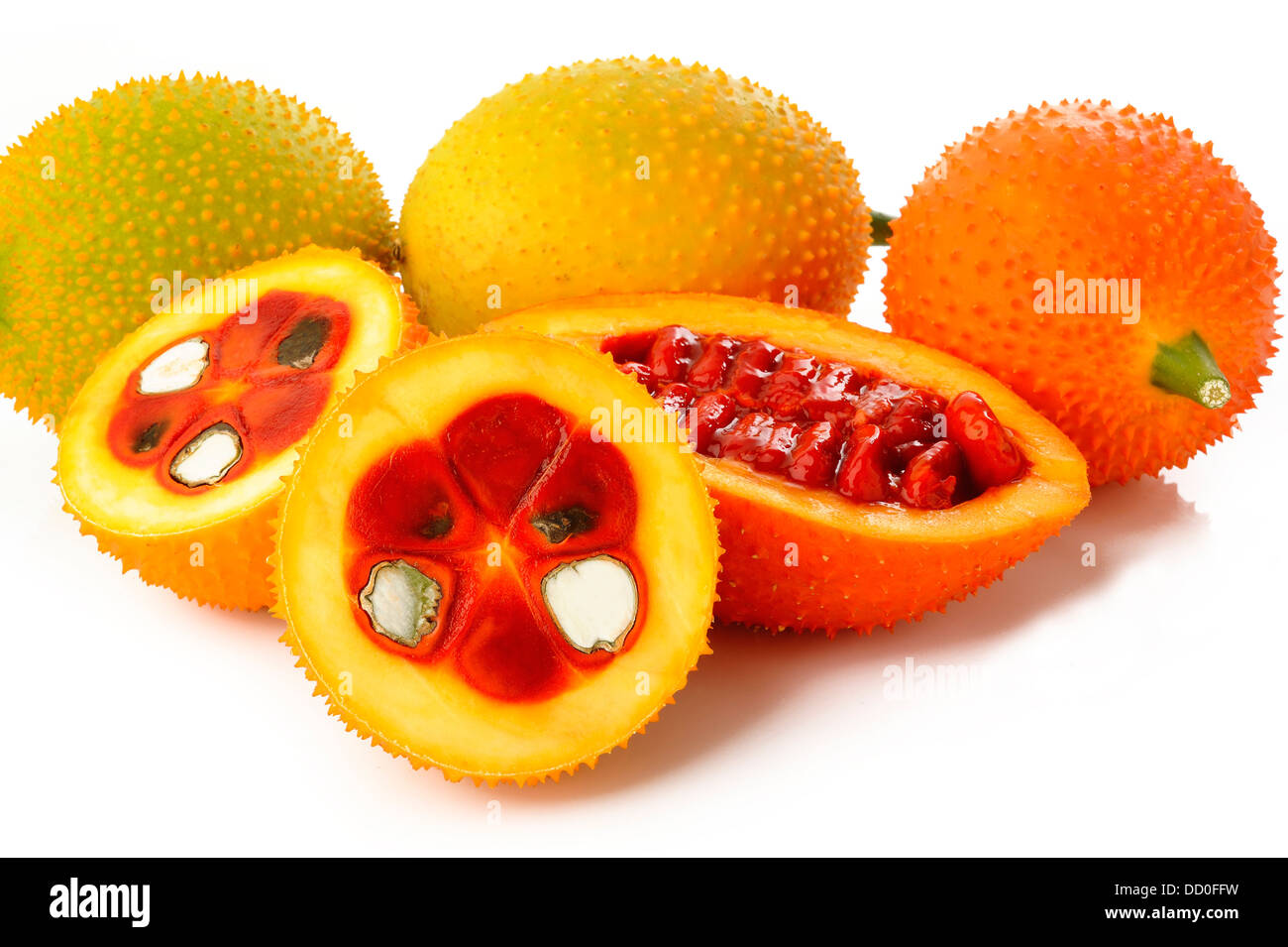 Spiny Bitter Gourd, Sweet Gourd or Cochinchin Gourd on white background ...