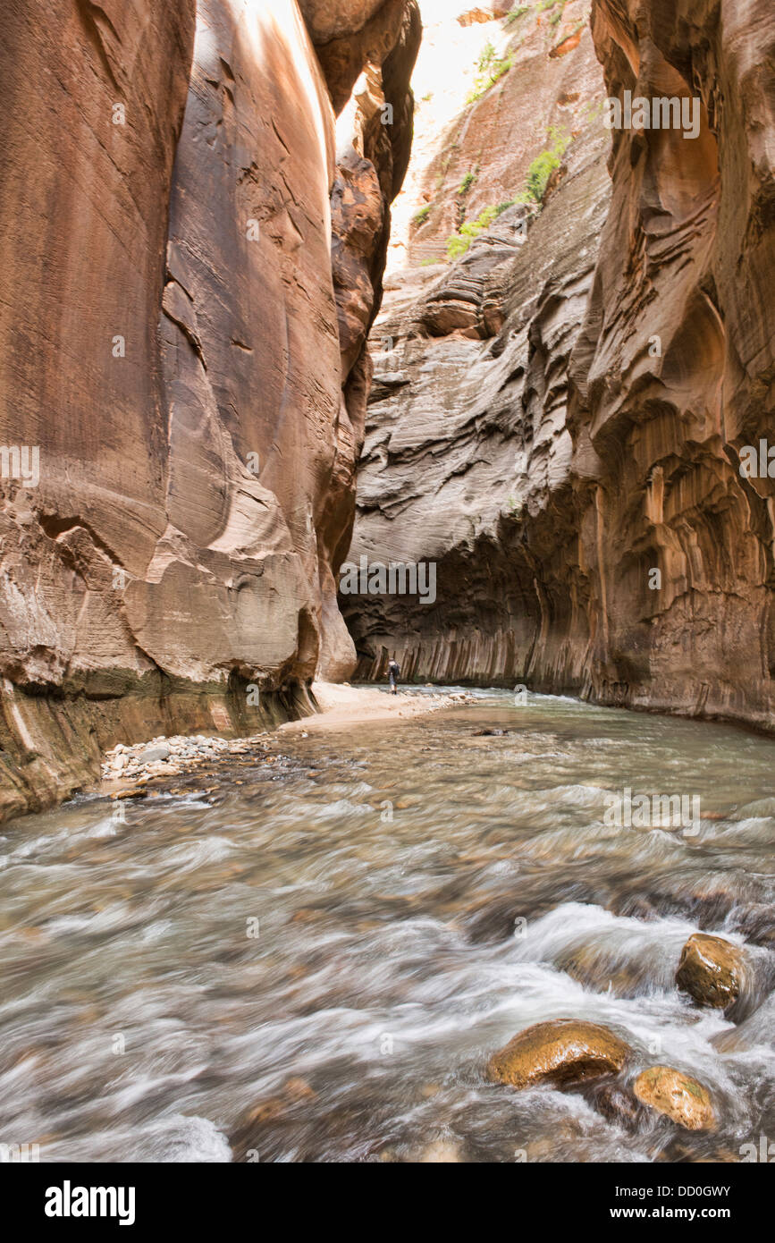 The Narrows, Zion National Park, Utah Stock Photo - Alamy