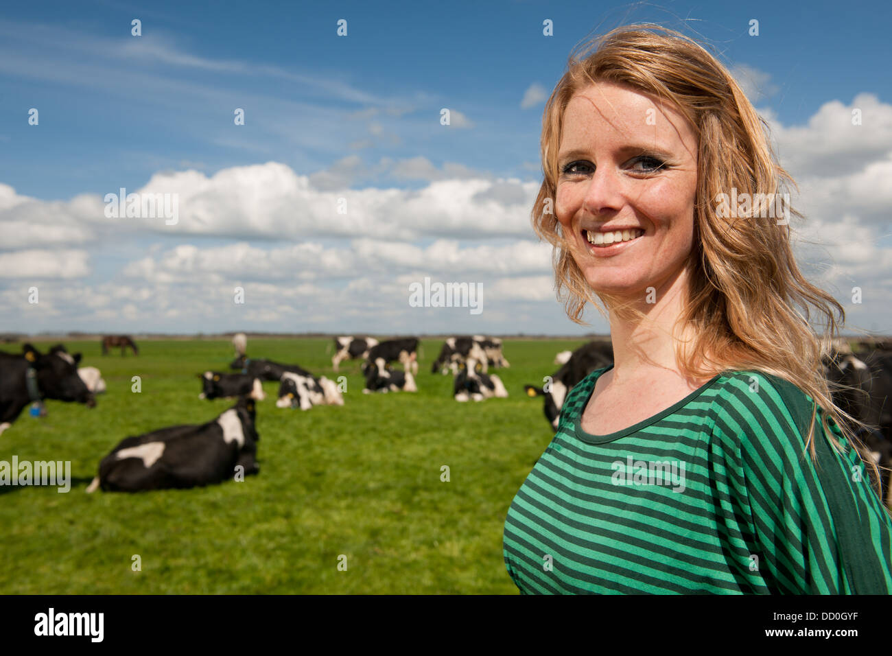 Dutch girl in field with cows Stock Photo - Alamy