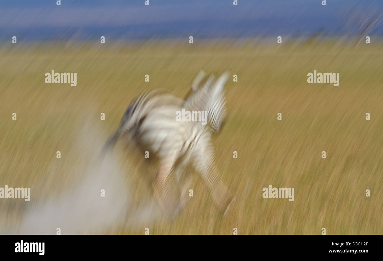 Adult ken hi-res stock photography and images - Alamy