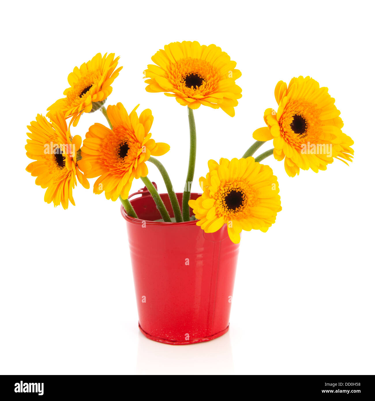 Yellow and red Stock Photo - Alamy