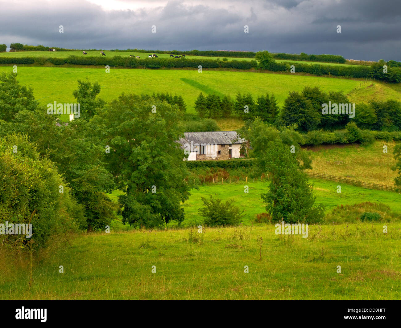 Molland hi-res stock photography and images - Alamy